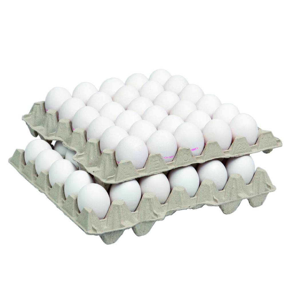 Unsere Produkte | Fischer Eier & Eierprodukte